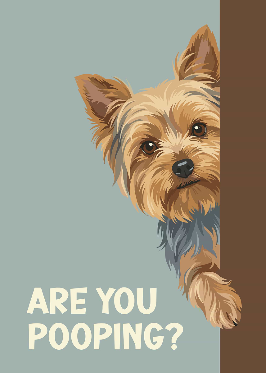'Yorkie - Are You Pooping?' Poster, picture, metal print, paint by ...