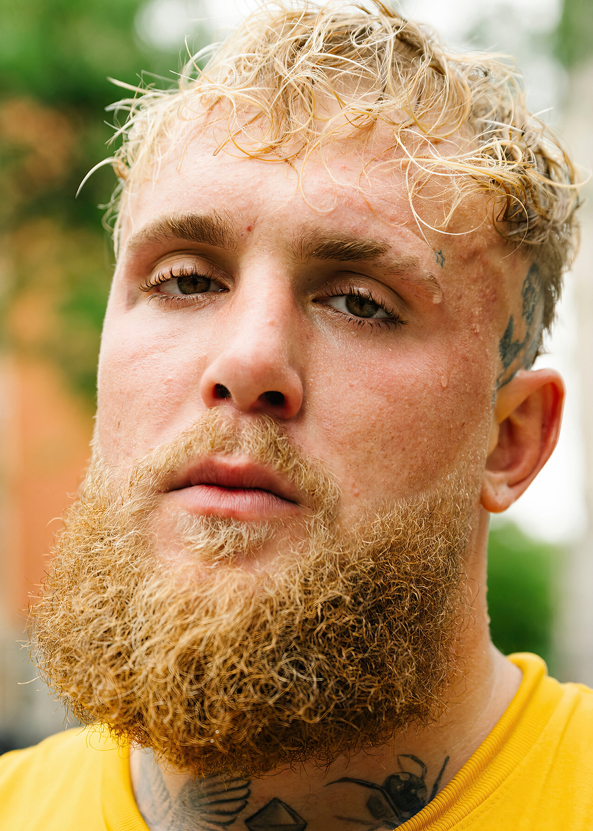 'Close-up Portrait of Jake Paul' Poster, picture, metal print, paint by ...
