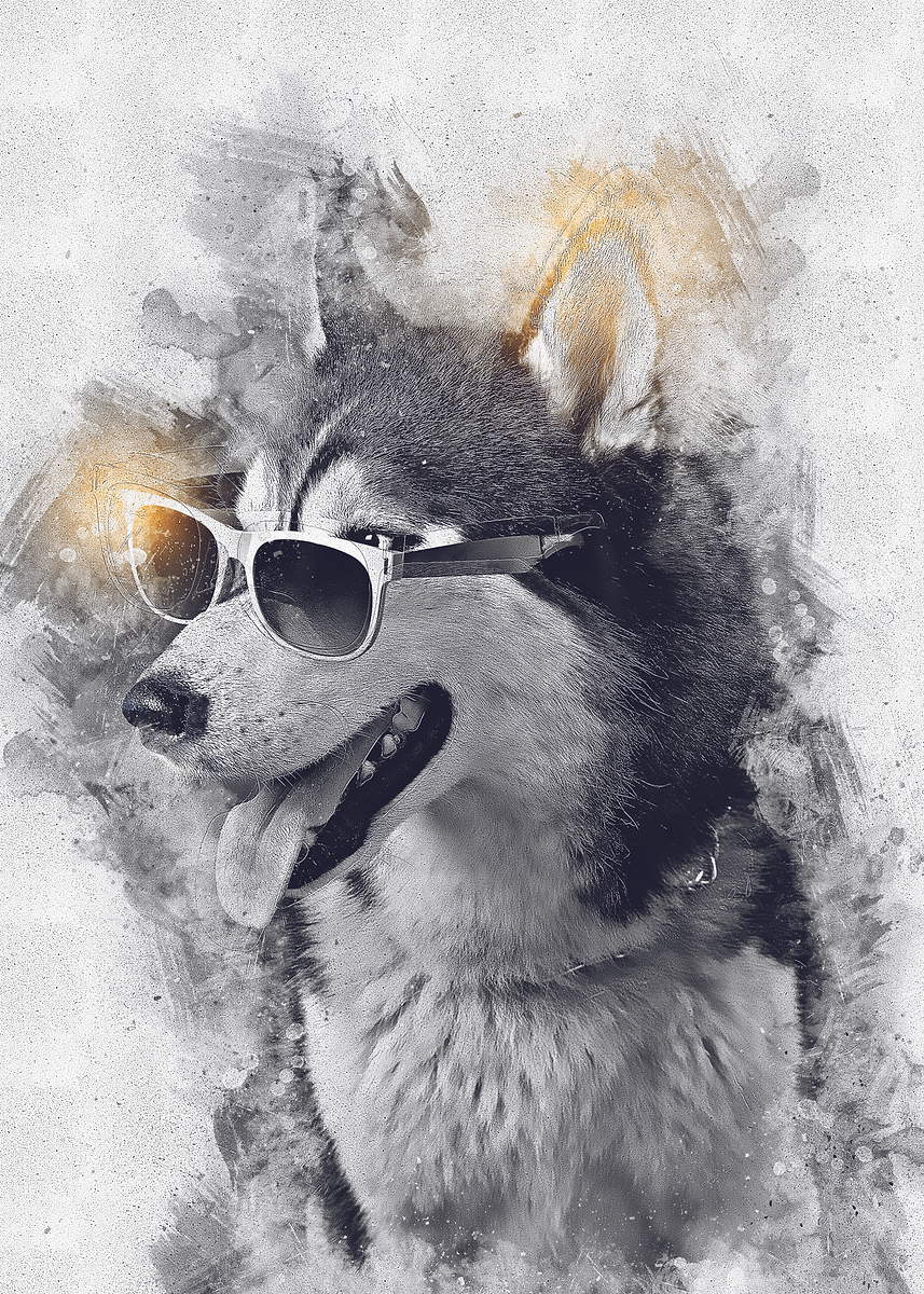 'Cool Husky with Sunglasses' Poster, picture, metal print, paint by ...