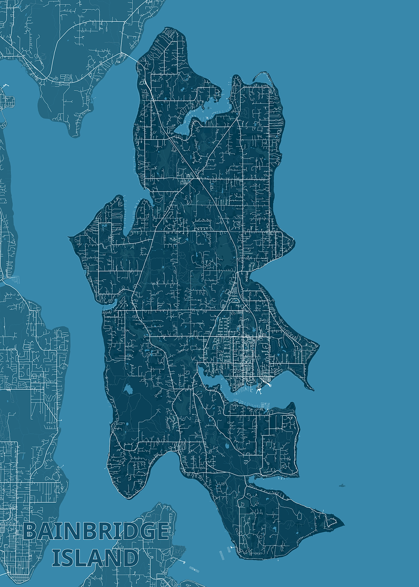 'Bainbridge Island Map - Detailed Topography' Poster, picture, metal ...