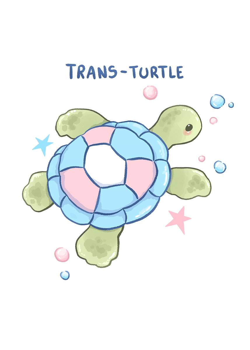 'Trans-Turtle ' Poster, picture, metal print, paint by PeachFrog | Displate