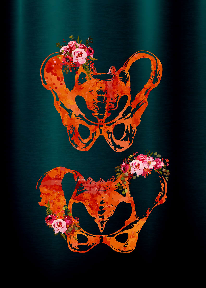 'Floral Pelvis Anatomy Art' Poster, picture, metal print, paint by ...