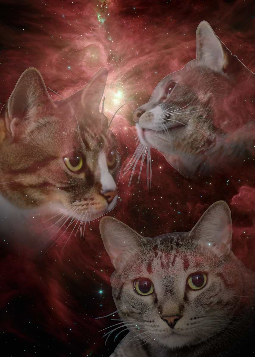 'Cosmic Cats in Nebula' Poster, picture, metal print, paint by DugDug ...