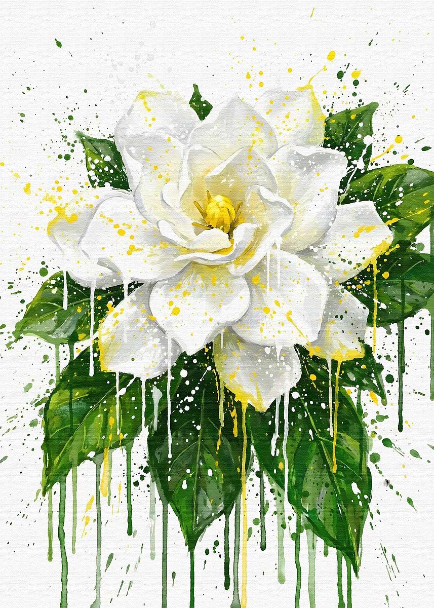 'White Magnolia Watercolor Painting' Poster, picture, metal print ...