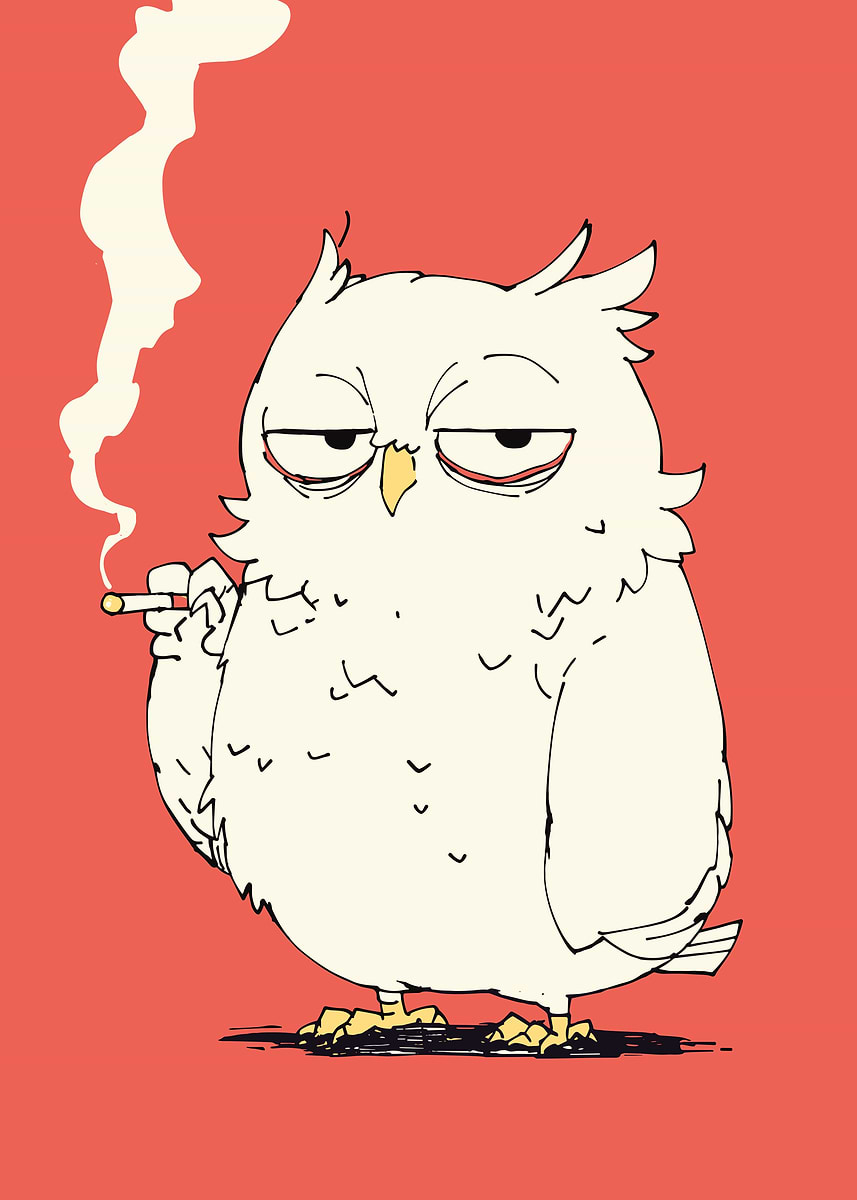 'Cartoon Owl Smoking Cigarette Illustration' Poster, picture, metal print, paint by Lily Rose ...