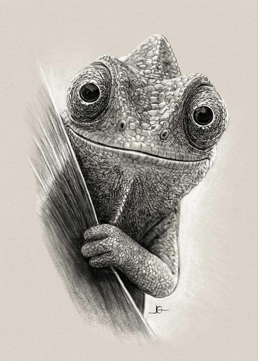 'Chameleon Portrait - Detailed Pencil Drawing' Poster, picture, metal ...