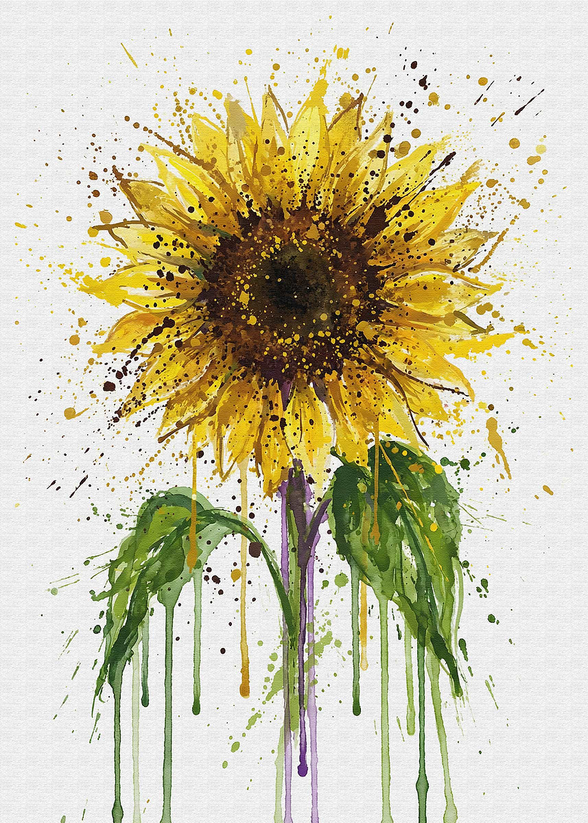 'Watercolor Sunflower with Splatters' Poster, picture, metal print ...