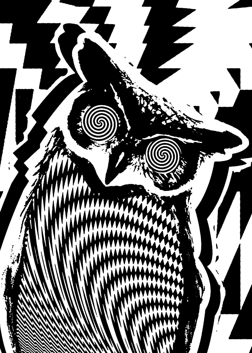 'Hypnotic Owl Black and White Art' Poster, picture, metal print, paint ...
