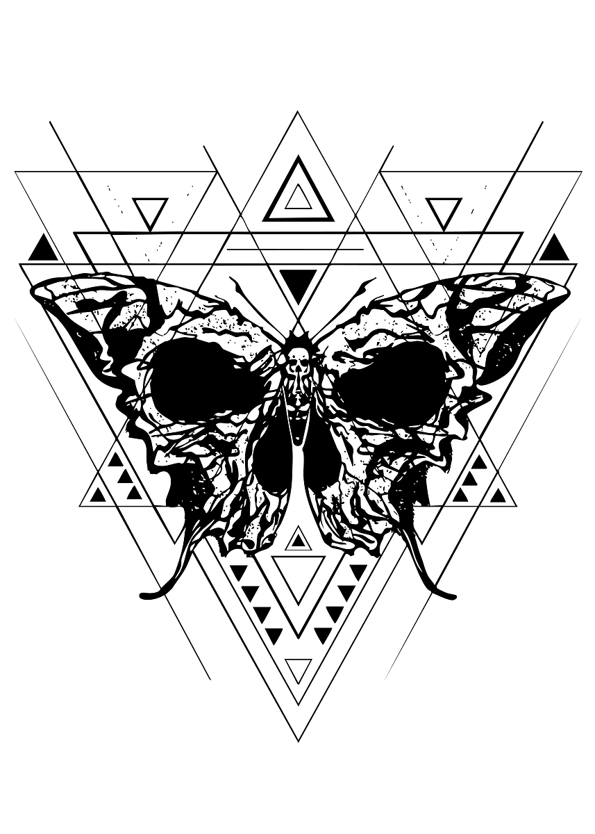 'Skull Butterfly with Geometric Shapes' Poster, picture, metal print ...