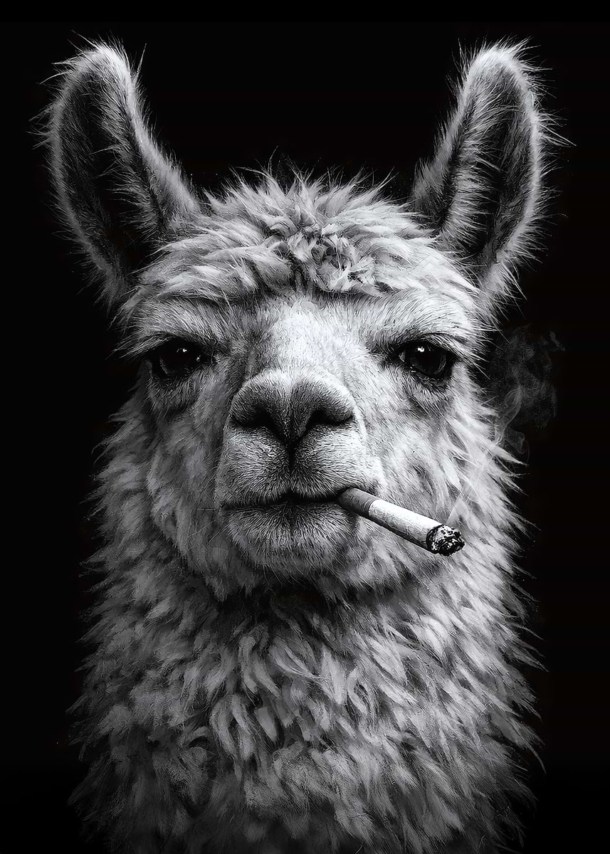 'Llama Smoking Cigarette Black and White' Poster, picture, metal print ...
