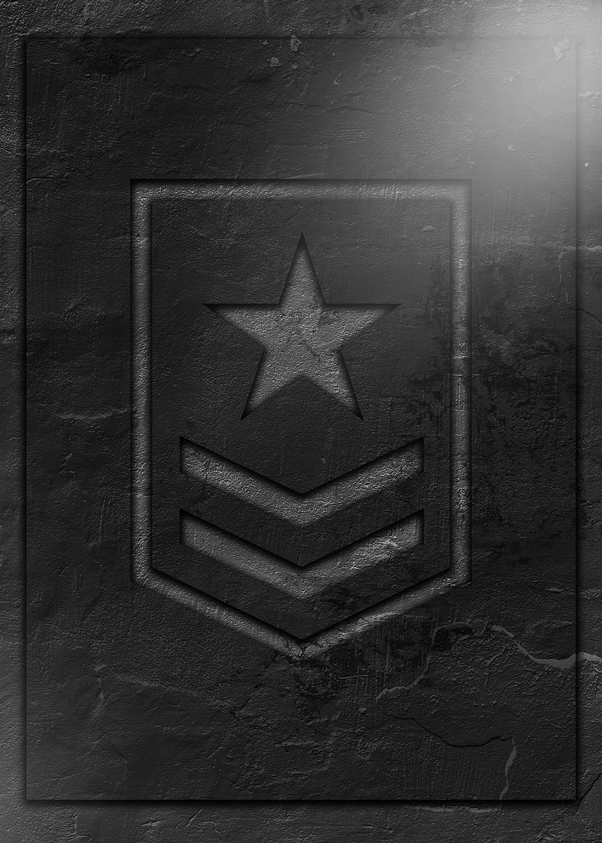 'Military Rank Insignia' Poster, picture, metal print, paint by Ray ...