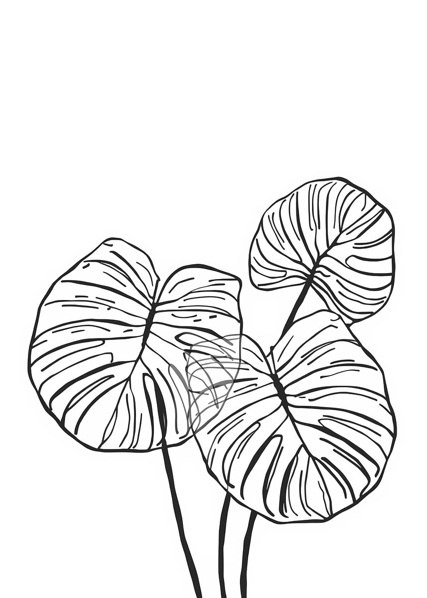 'Minimalist Leaf Line Art' Poster, picture, metal print, paint by Av ...