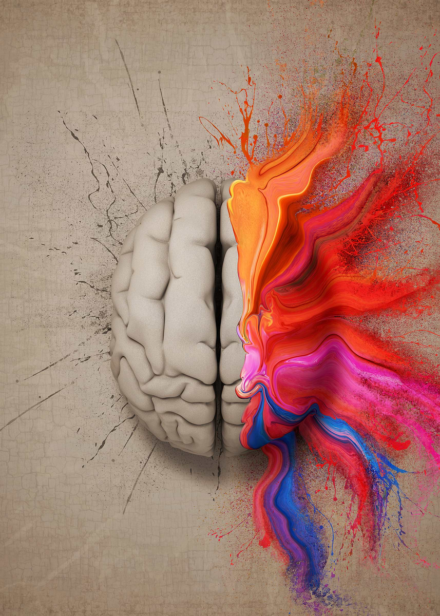 'Brain Halves: Logic and Creativity' Poster, picture, metal print ...