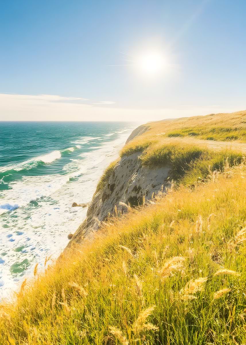 'Coastal Cliffside with Golden Grass' Poster, picture, metal print ...