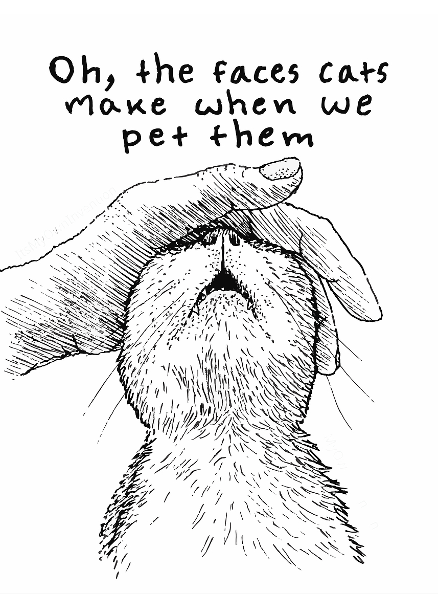 'Petting a Cat: Line Art Illustration' Poster, picture, metal print ...