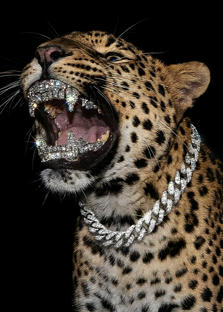 'Leopard with Diamond Grill and Chain' Poster, picture, metal print ...