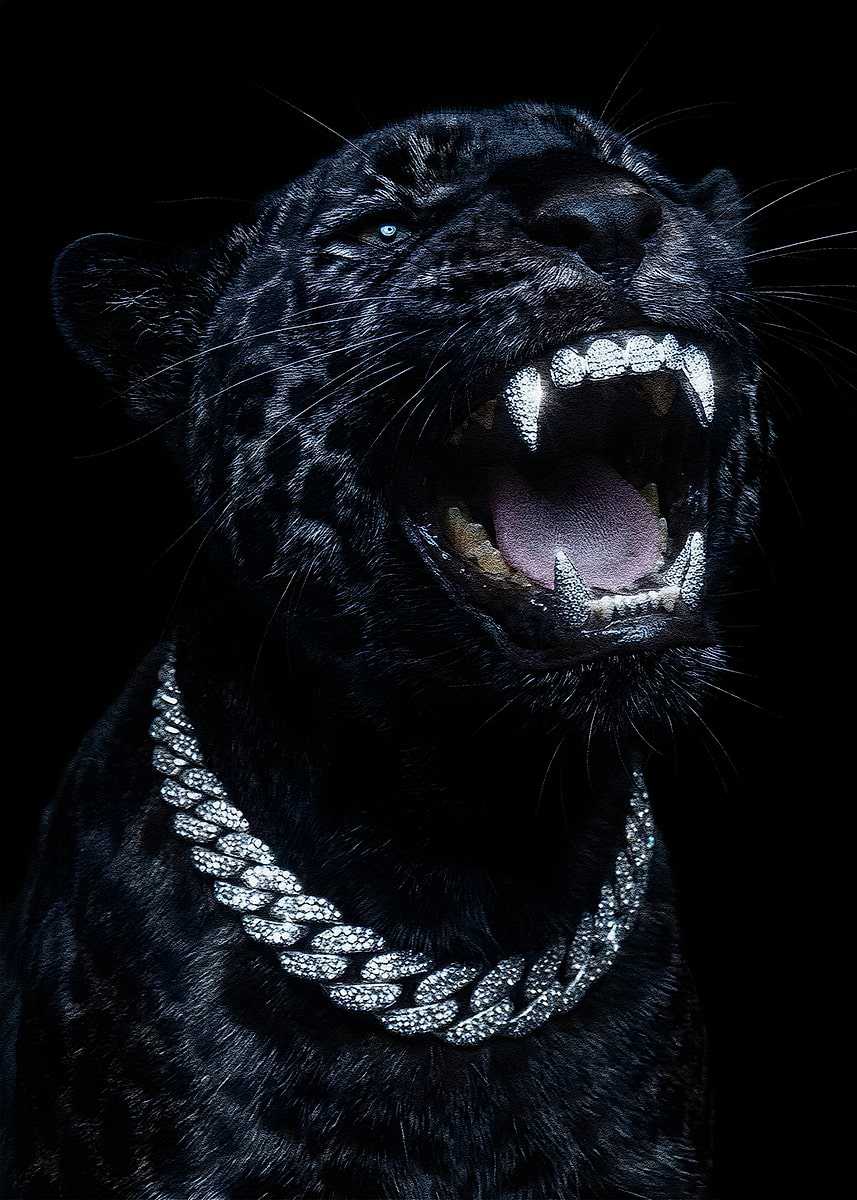 'Black Panther with Diamond Grill and Chain' Poster, picture, metal ...