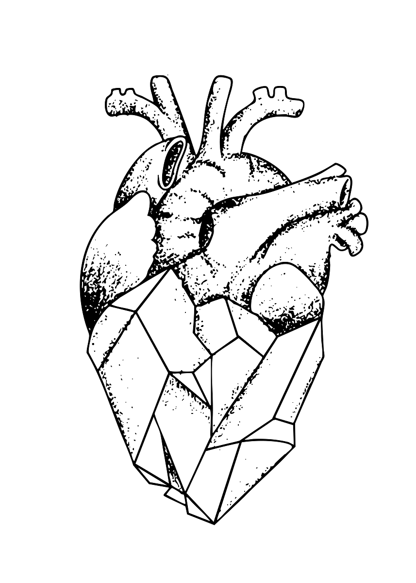 'Anatomical Heart with Crystals' Poster, picture, metal print, paint by ...