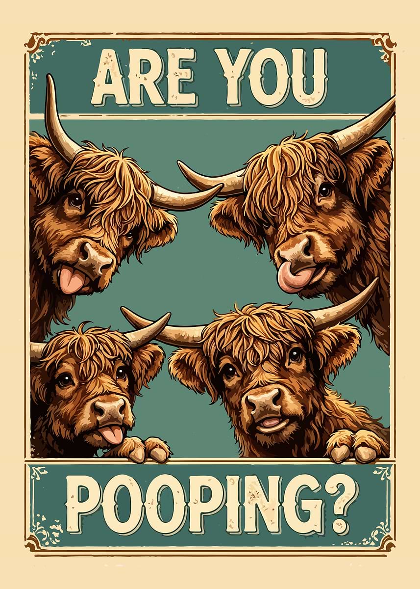 'Highland Cows Asking 'Are You Pooping?'' Poster, picture, metal print ...