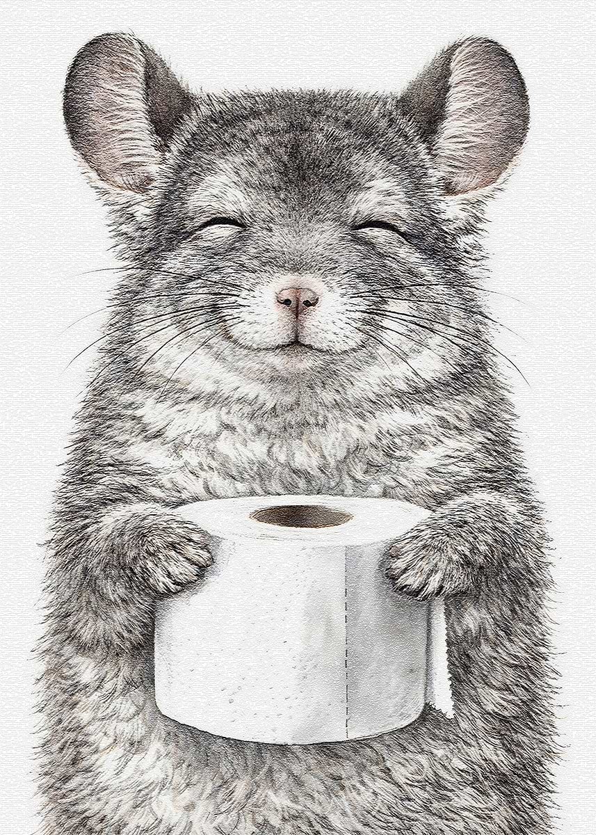 'Chinchilla Holding Toilet Paper' Poster, picture, metal print, paint ...