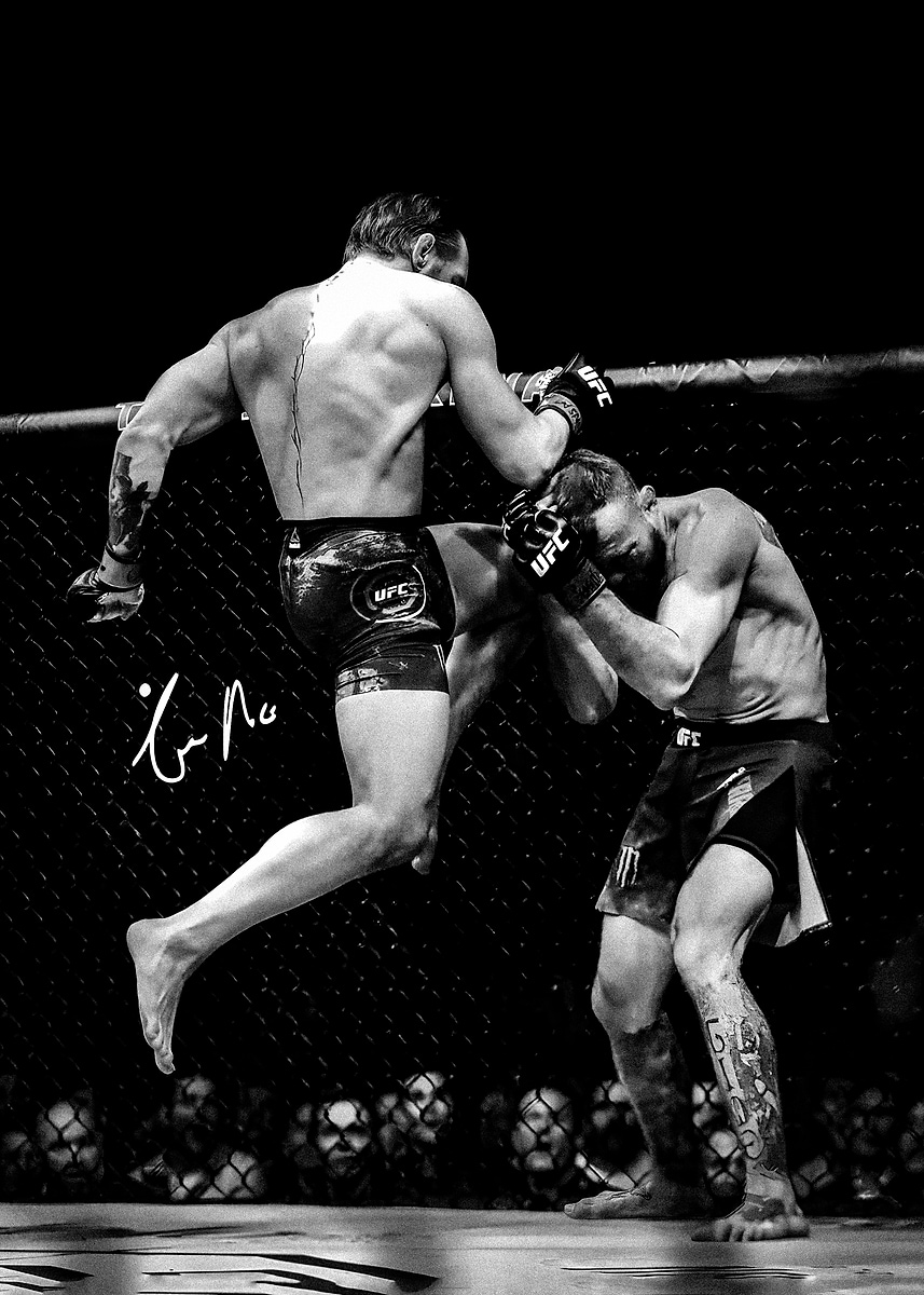 'Conor McGregor UFC Fighters' Poster, picture, metal print, paint by ...