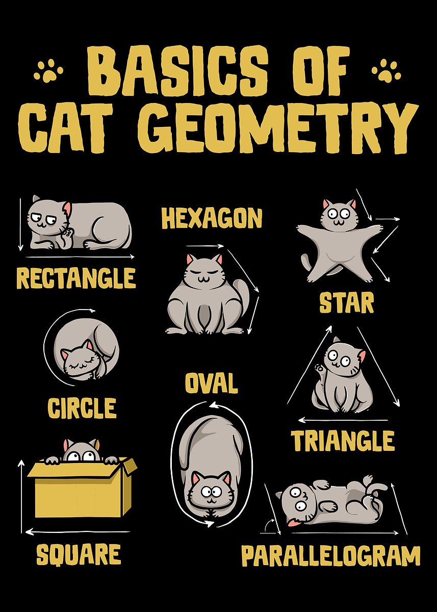 'Basics of Cat Geometry Poster, Funny Cat Math Illustration ...