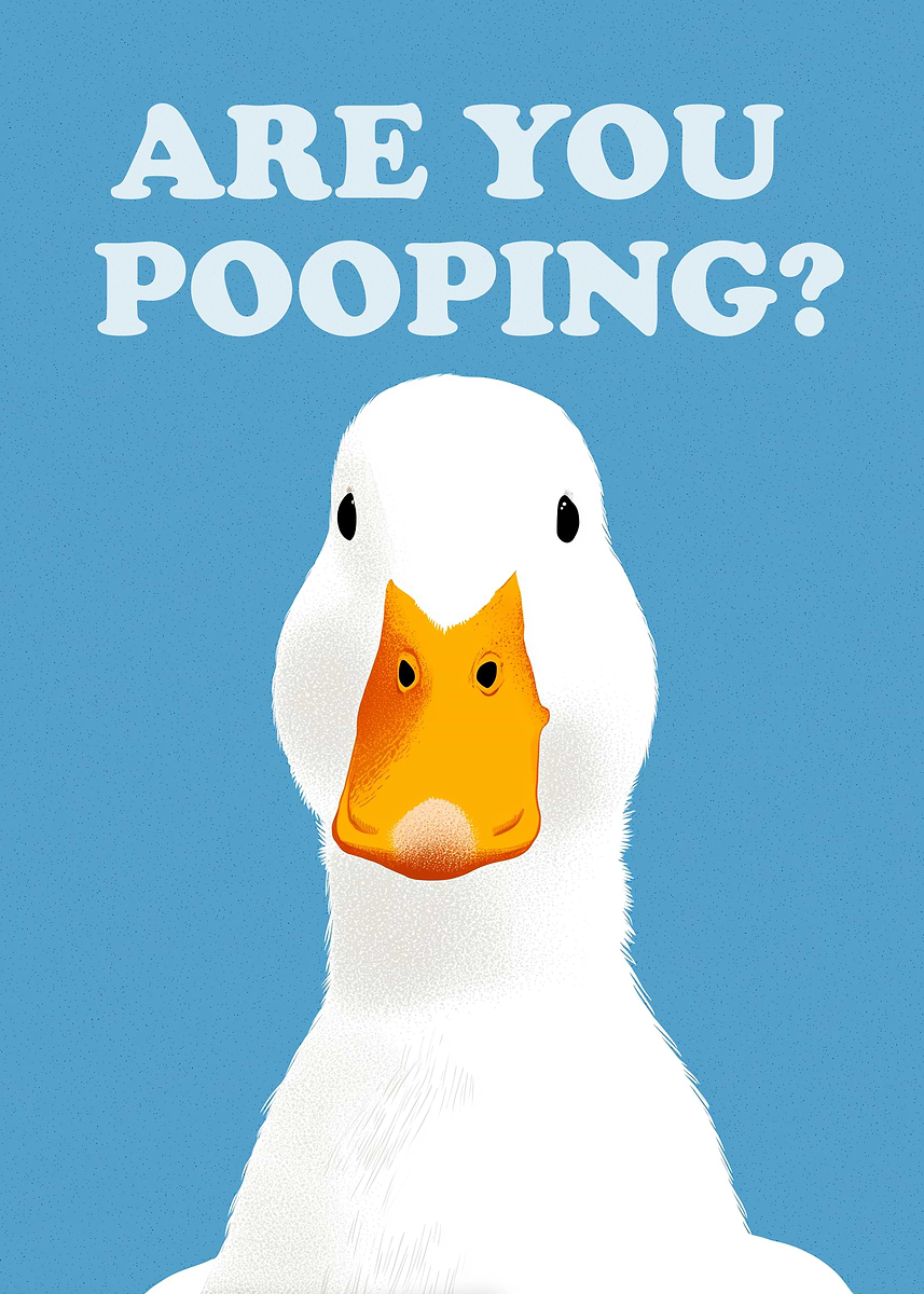 'Funny Duck Asking 'Are You Pooping?'' Poster, picture, metal print ...
