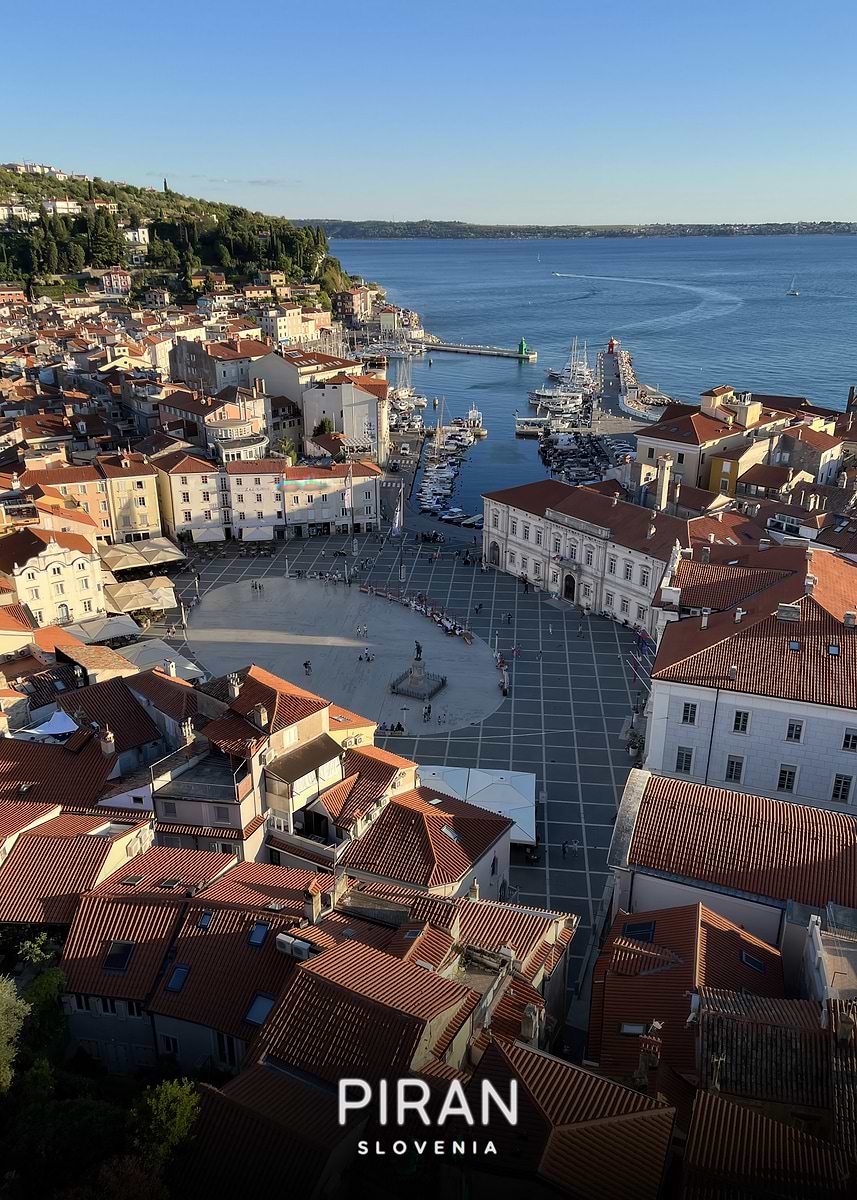 'Piran, Slovenia Coastal Cityscape' Poster, picture, metal print, paint ...