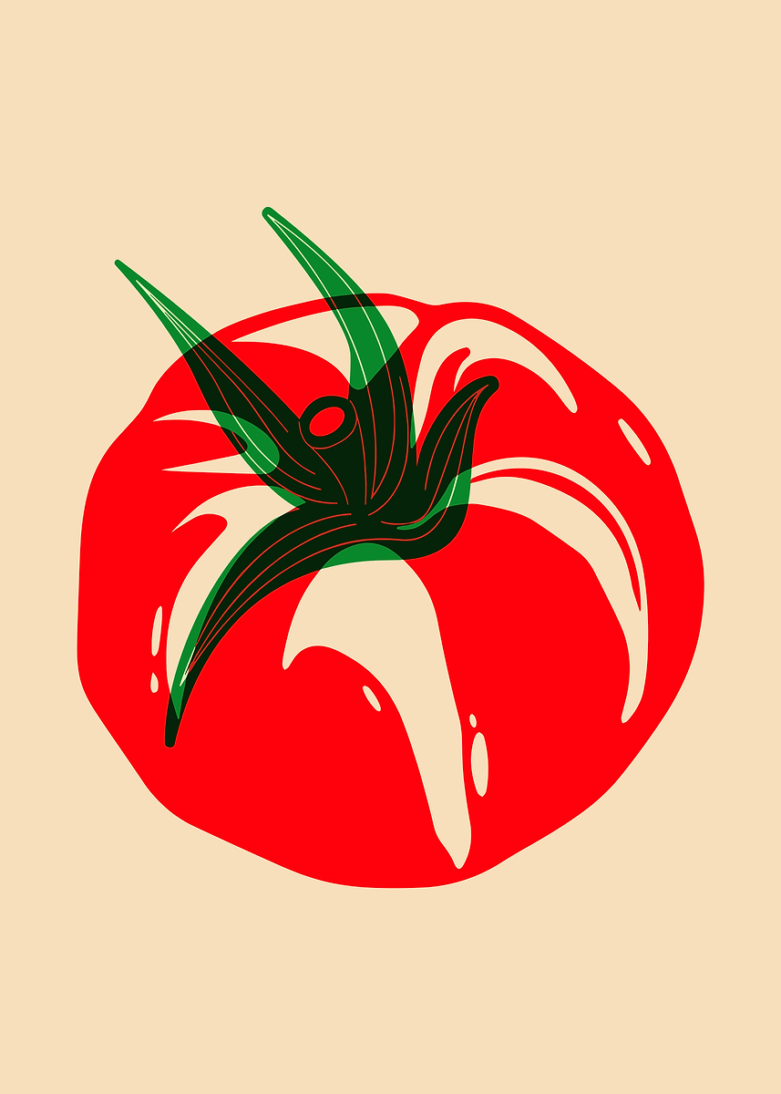 'Stylized Tomato Illustration' Poster, picture, metal print, paint by ...