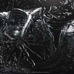 Xenomorph Queen metal poster - Limited Edition | Displate